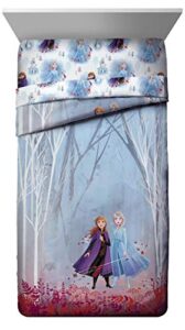 Jay Franco Frozen 2 Forest Spirit Bed Set, Full